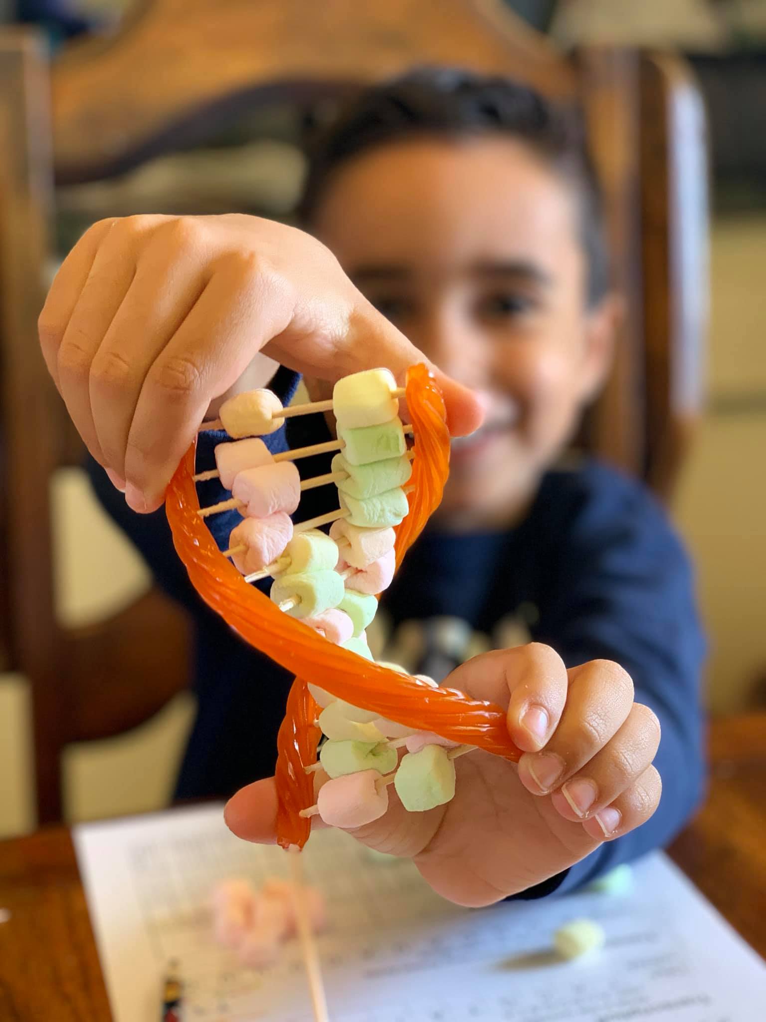 Genetics – Lab Rat Academy